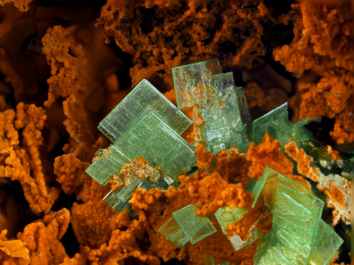 Mineralienatlas Lexikon - Torbernit