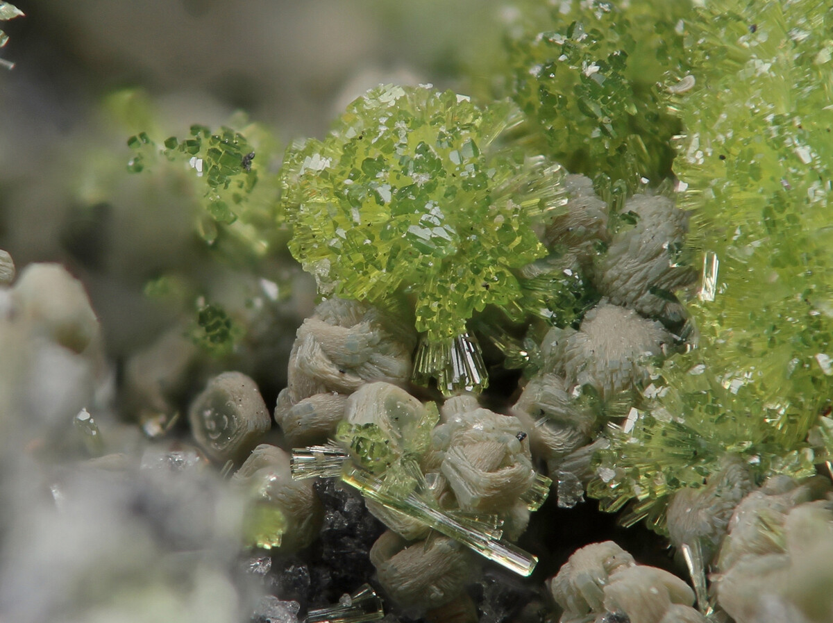 Mineralatlas Lexikon - Wavellit