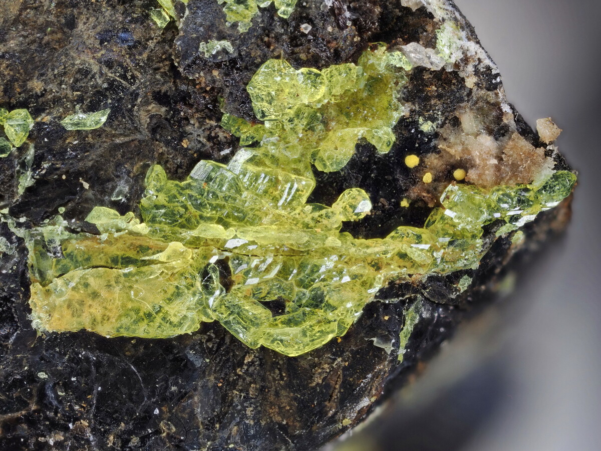 Mineralatlas Lexikon - Ewingite