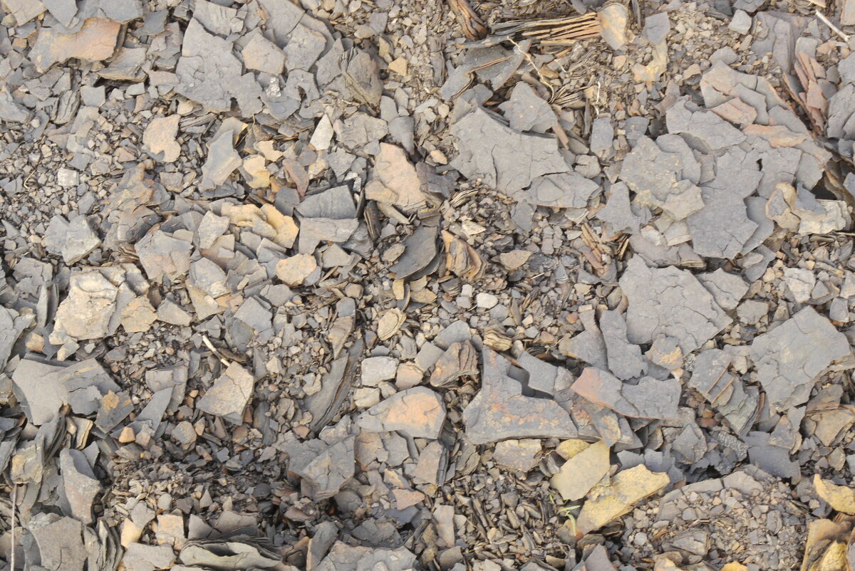 Mineralatlas Lexikon