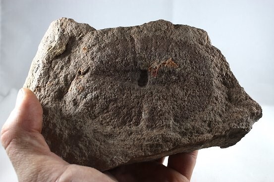 Mineralatlas Lexikon