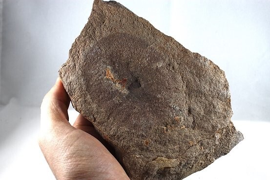 Mineralatlas Lexikon