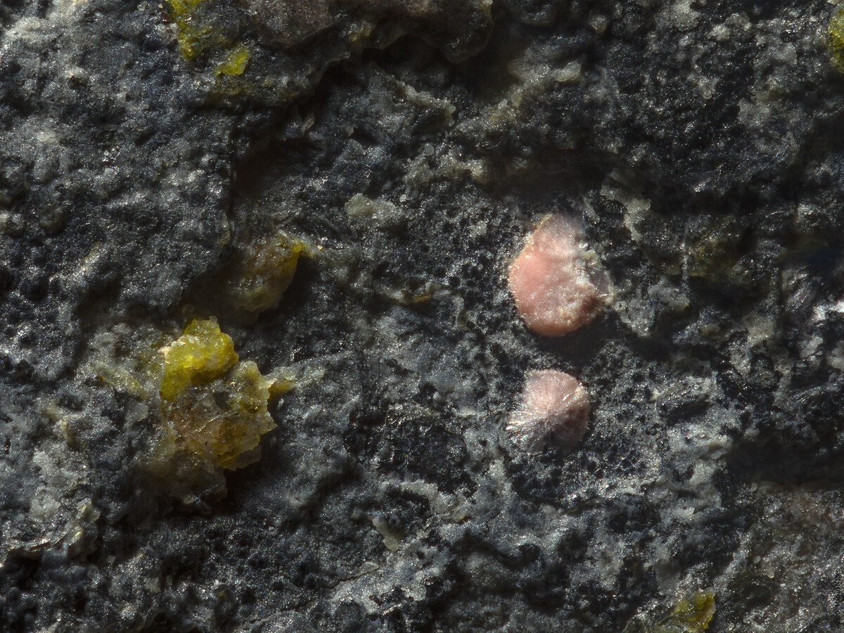 Mineralienatlas Lexikon