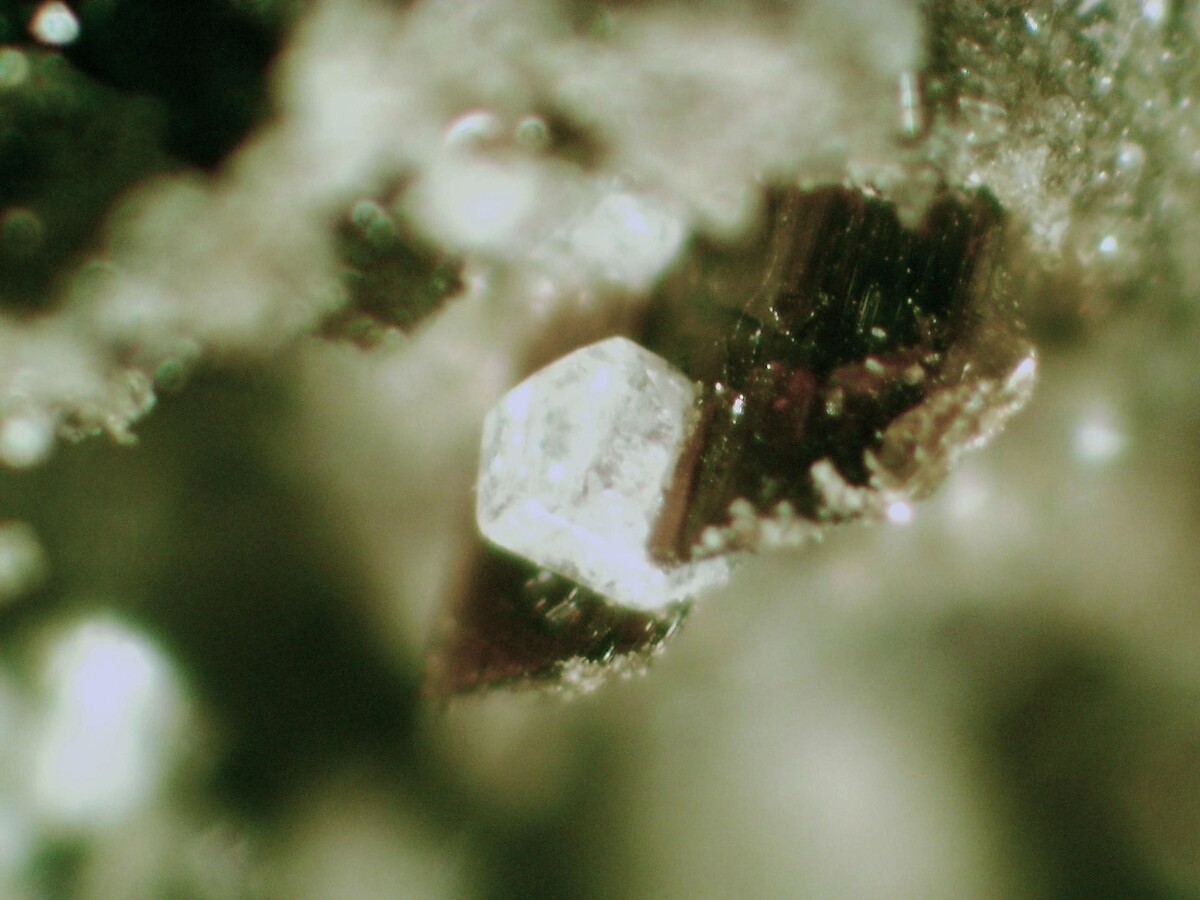 Mineralatlas Lexikon