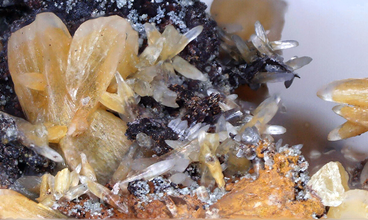 Mineralatlas Lexikon