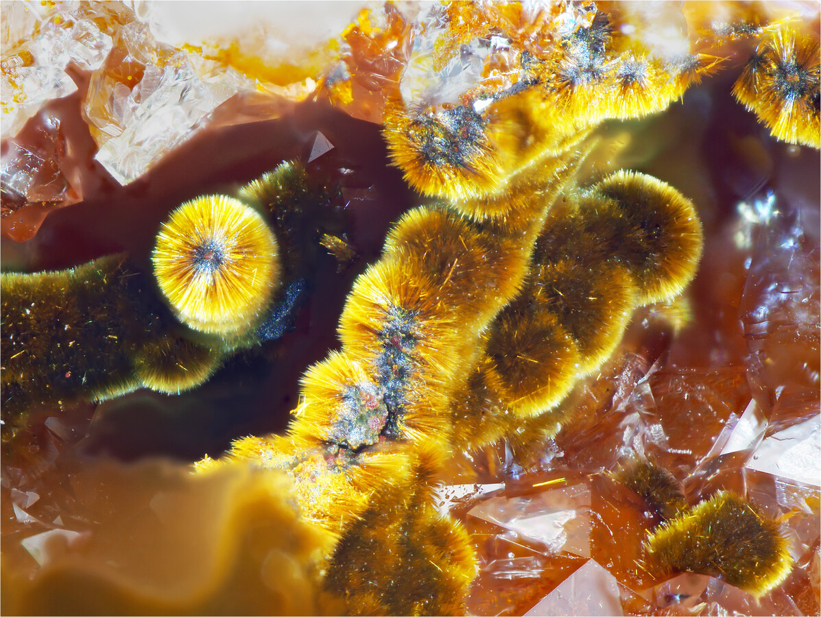 Mineralatlas Lexikon