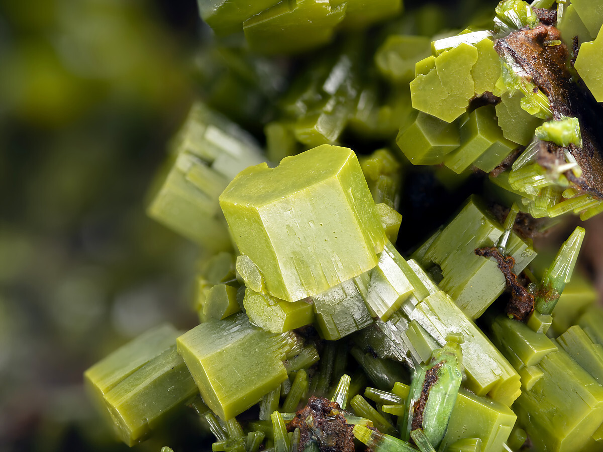 Mineralatlas Lexikon - Pyromorphit