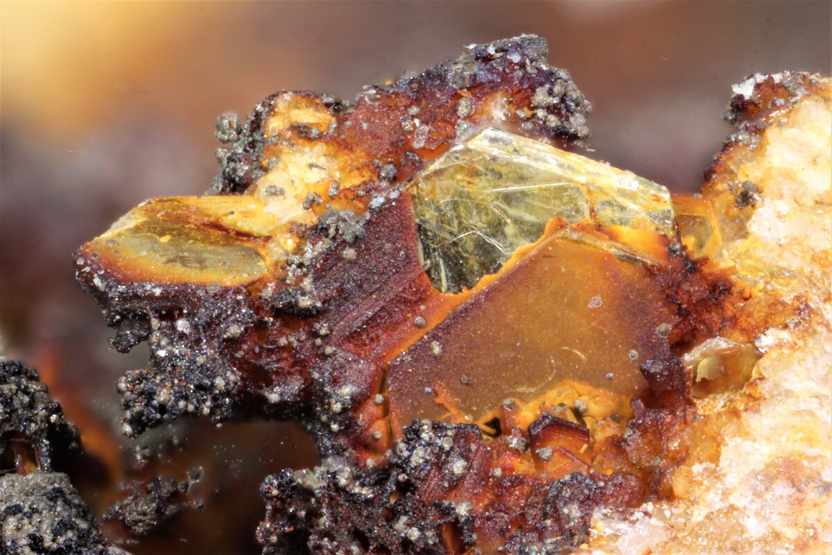 Mineralatlas Lexikon