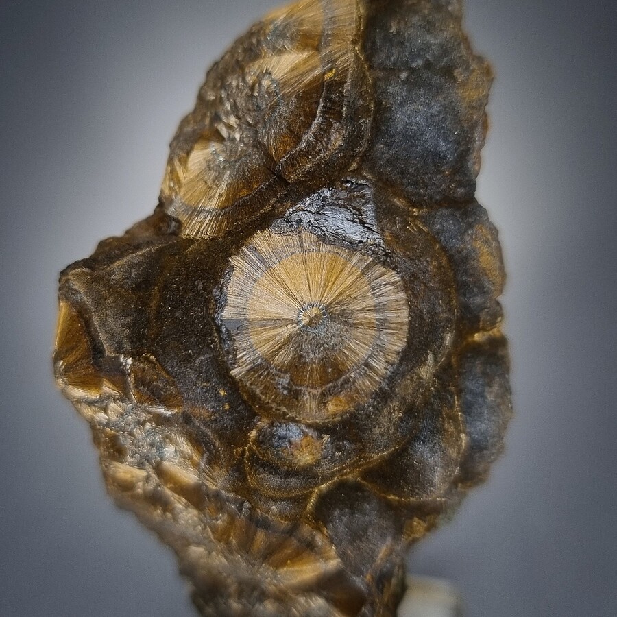 Mineralatlas Lexikon