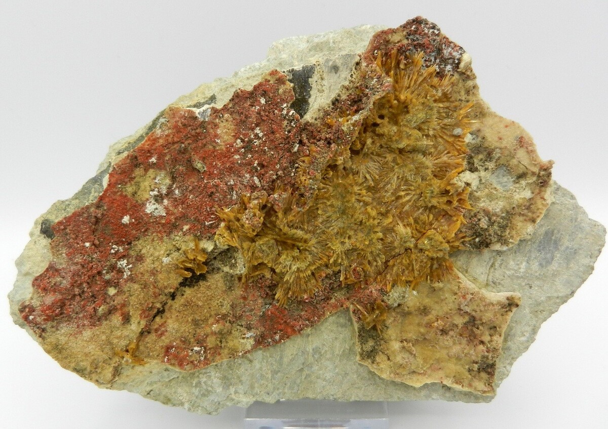 Mineralatlas Lexikon
