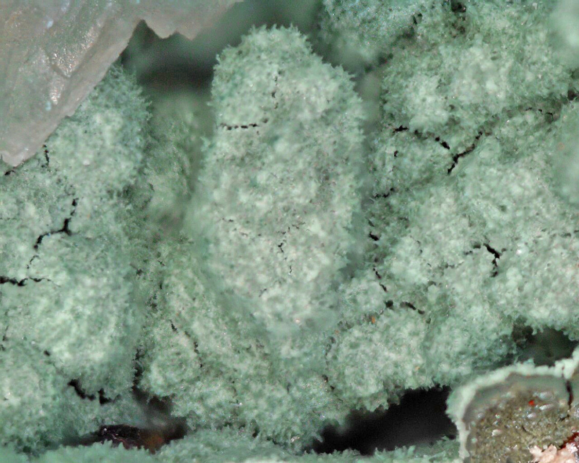 Mineralatlas Lexikon (english Version)