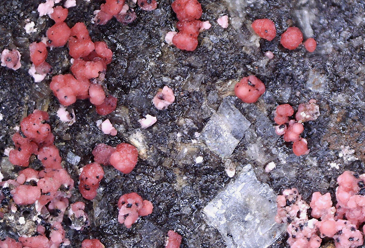 Mineralatlas Lexikon