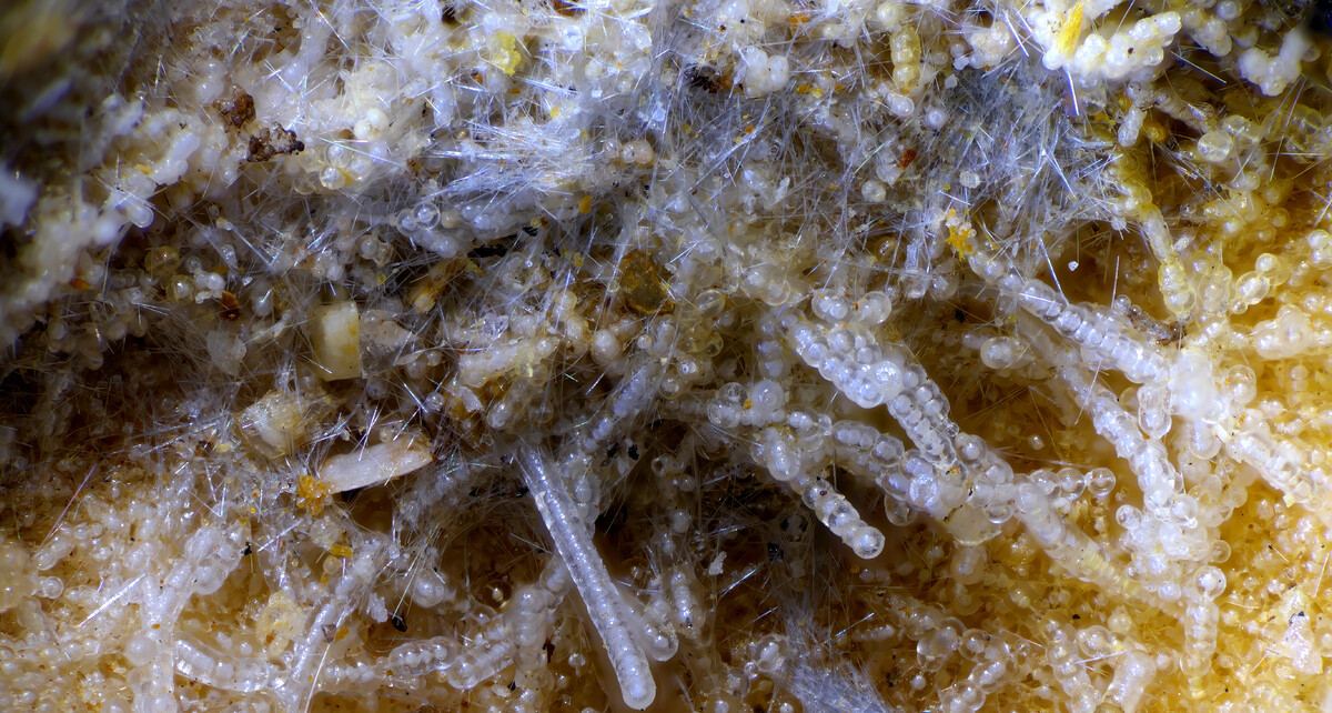 Mineralatlas Lexikon