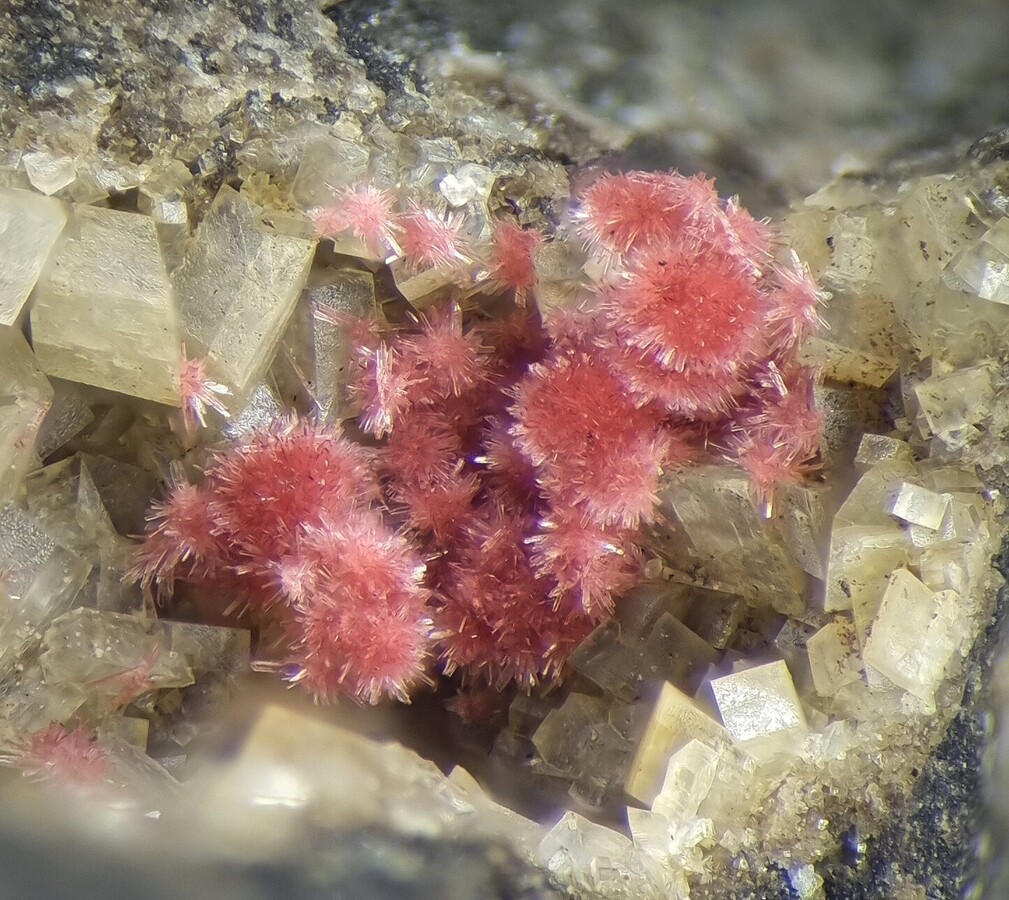 Mineralatlas Lexikon