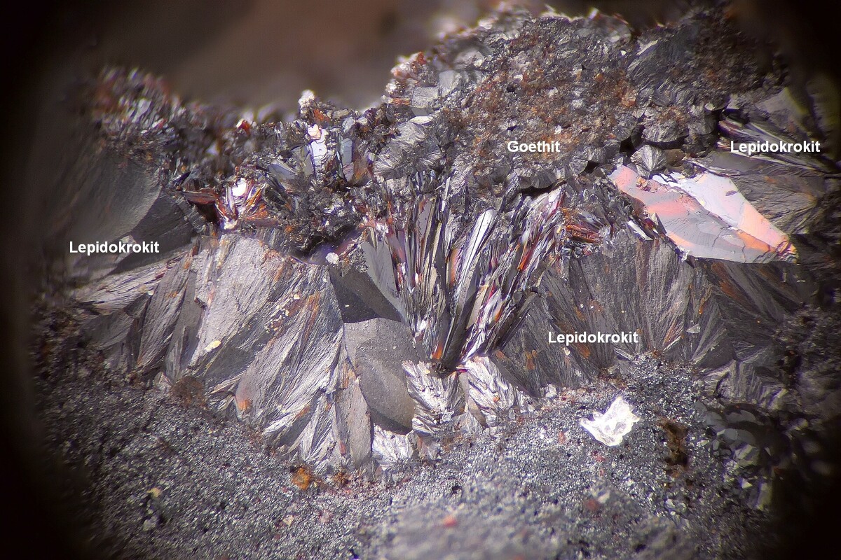 Mineralatlas Lexikon - Lepidocrocite (english Version)