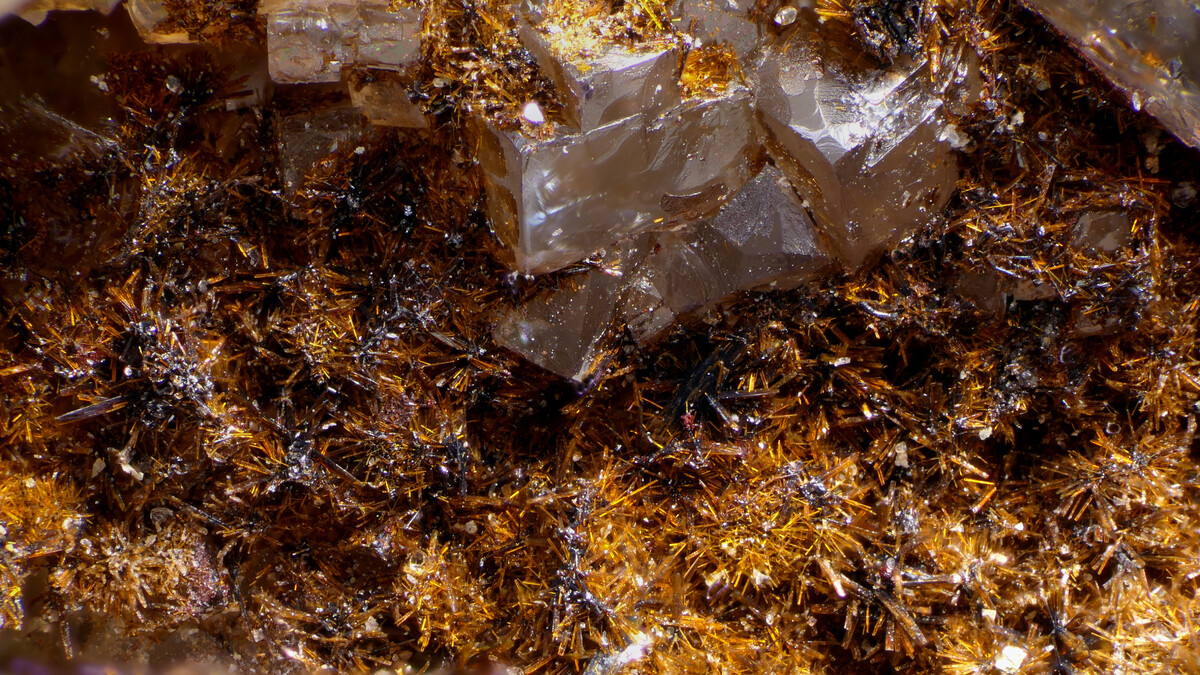 Mineralatlas Lexikon