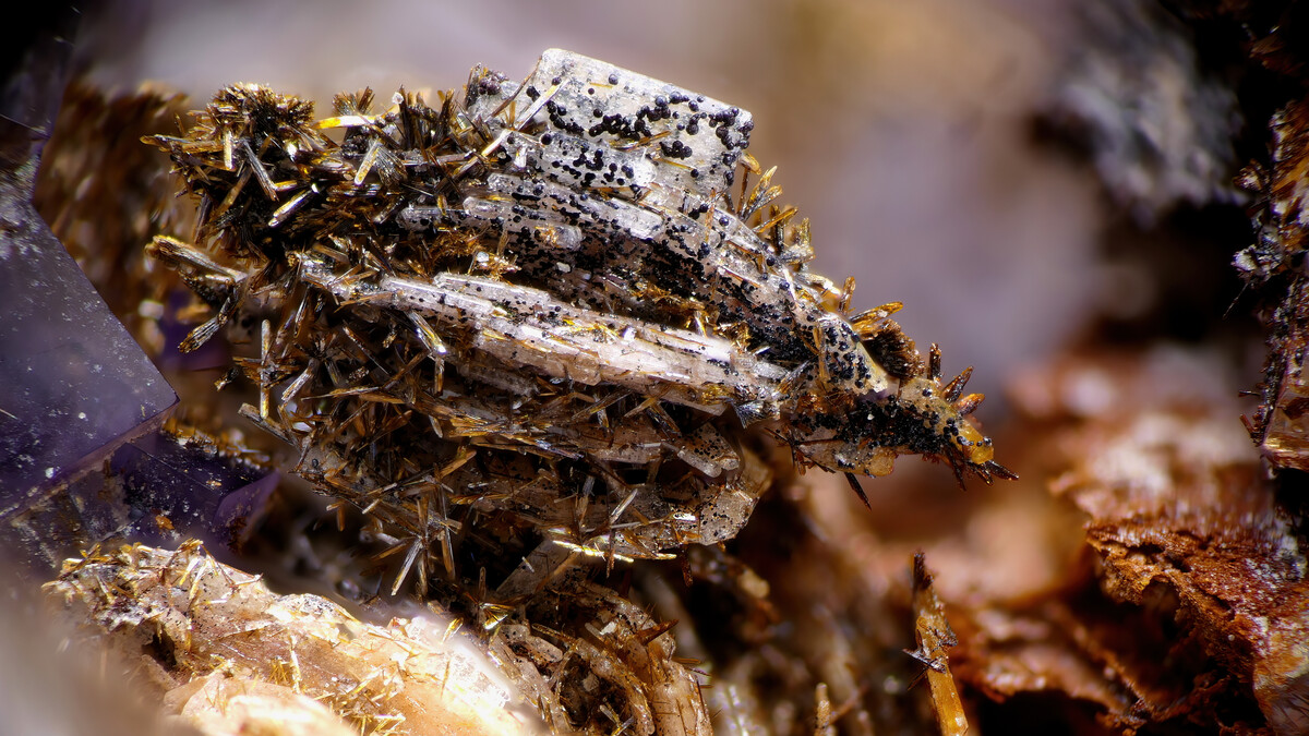 Mineralatlas Lexikon