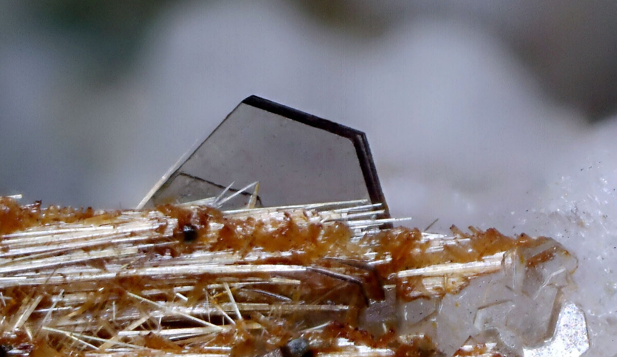 Mineralatlas Lexikon - Muskovit