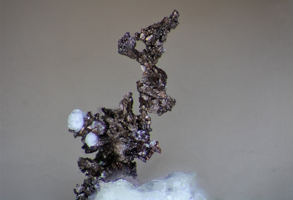 Mineralatlas Lexikon