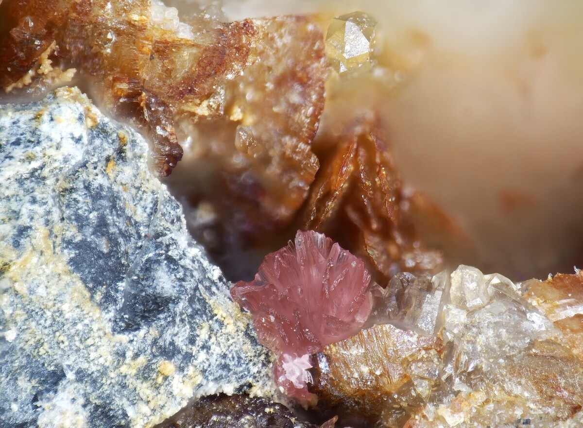 Mineralatlas Lexikon