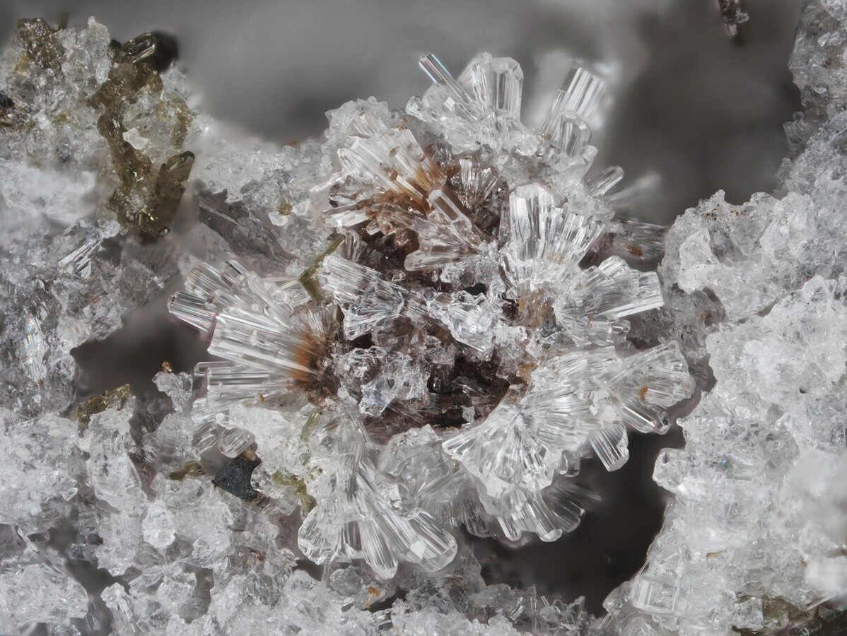 Mineralatlas Lexikon