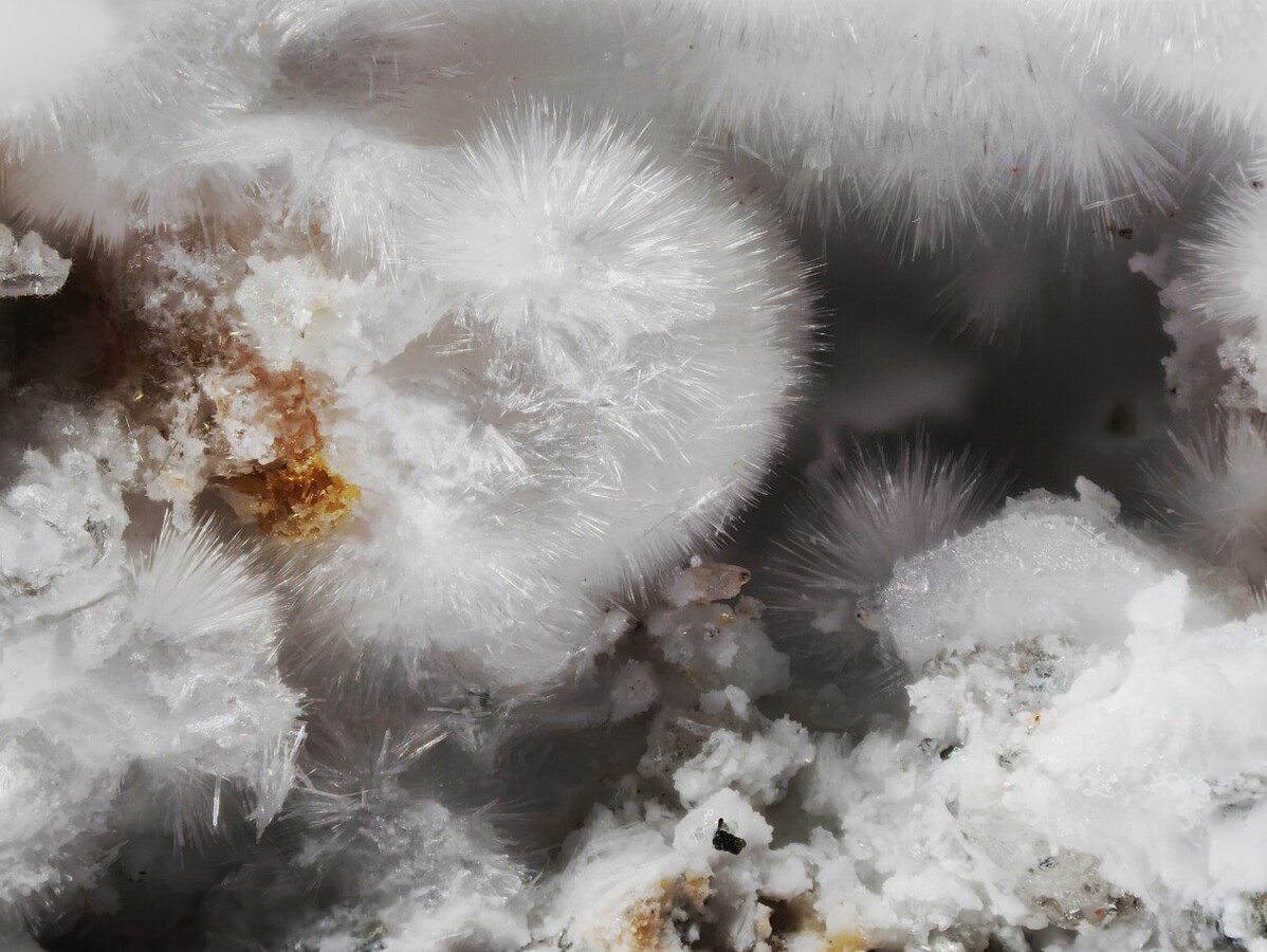 Mineralatlas Lexikon - Jennite