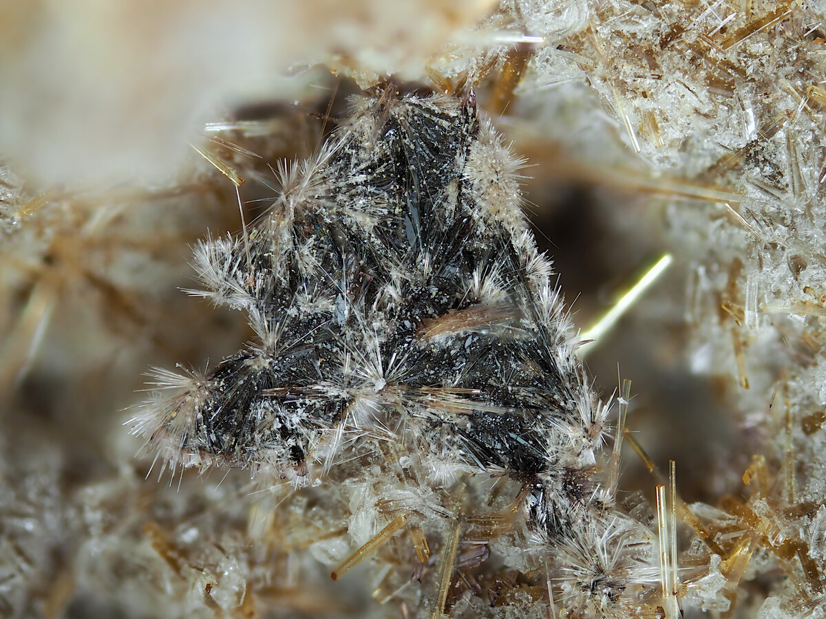 Mineralatlas Lexikon