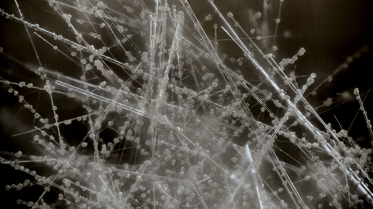 Mineralatlas Lexikon - Tacharanit (english Version)