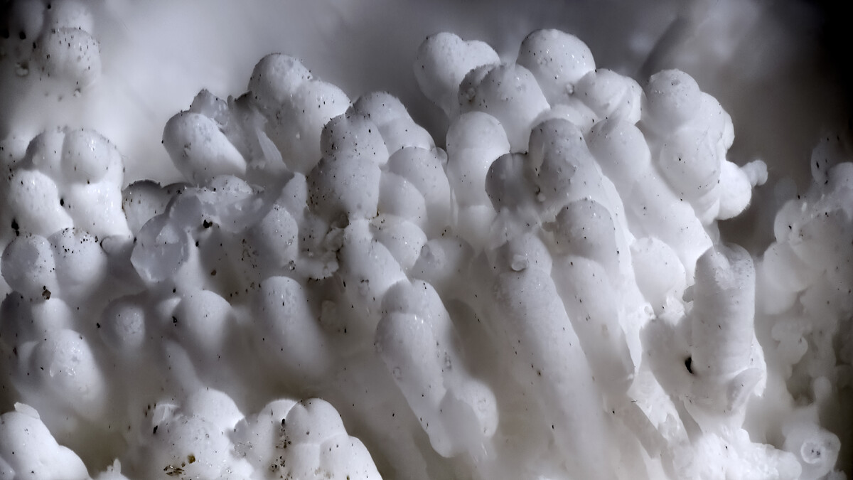 Mineralatlas Lexikon - Tacharanit (english Version)