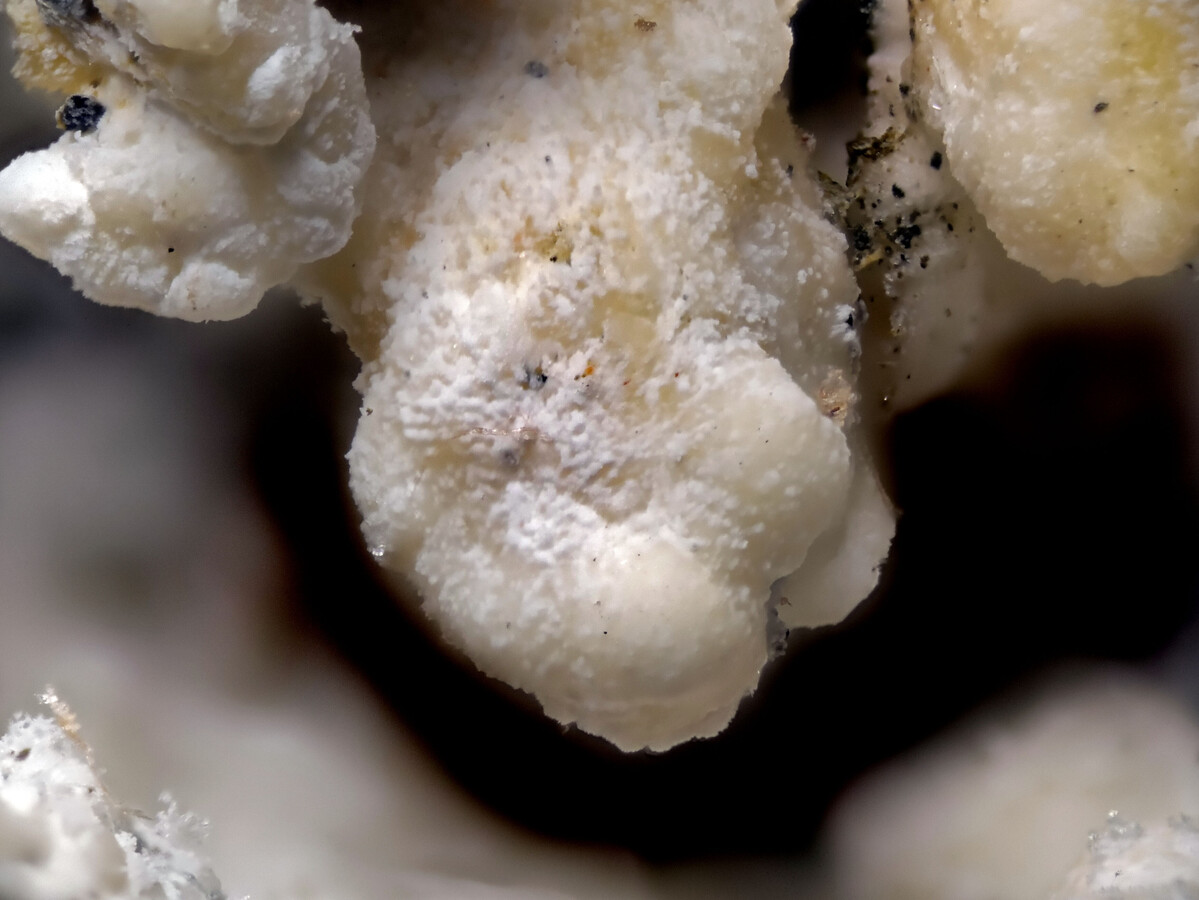 Mineralatlas Lexikon