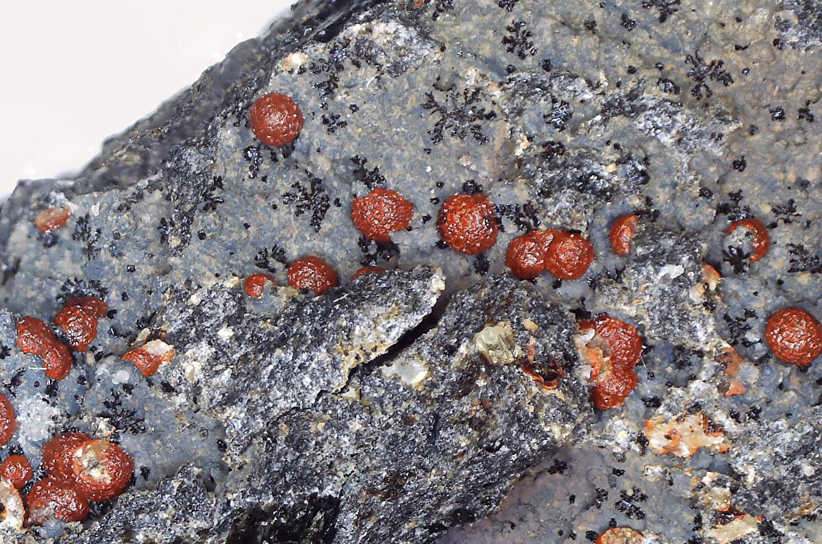 Mineralatlas Lexikon