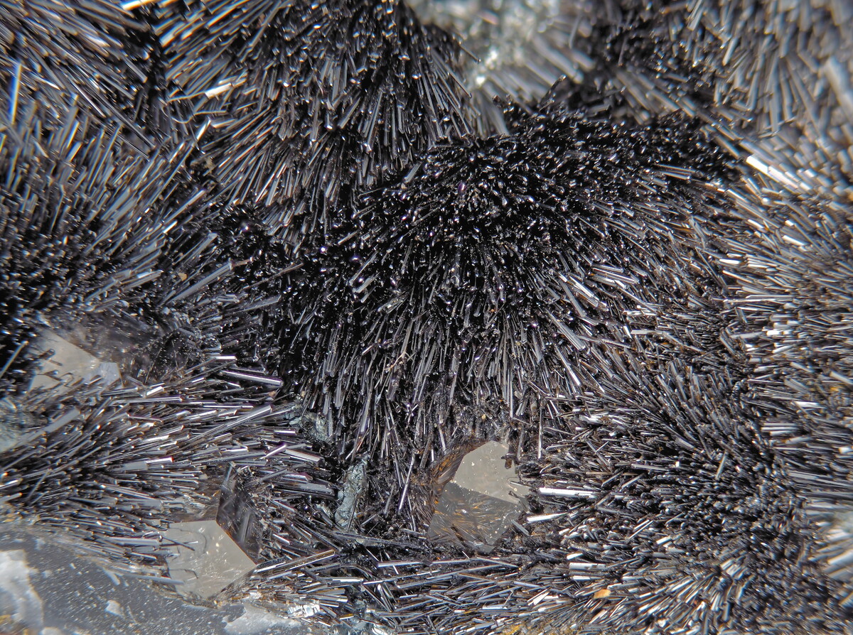 Mineralatlas Lexikon