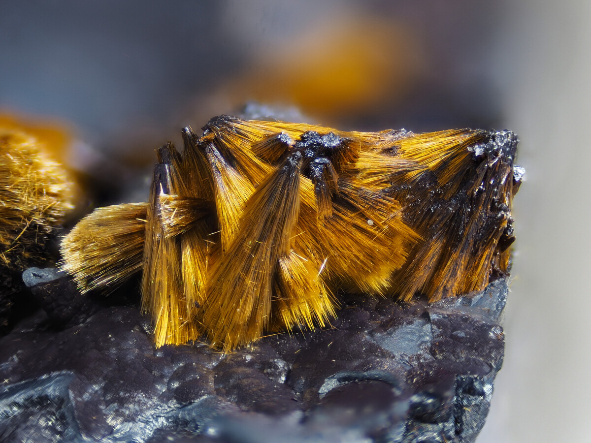 Mineralatlas Lexikon
