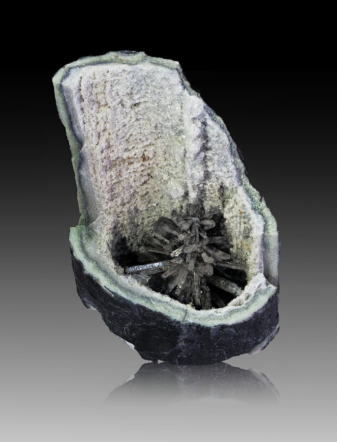 Mineralatlas Lexikon - Belemniten