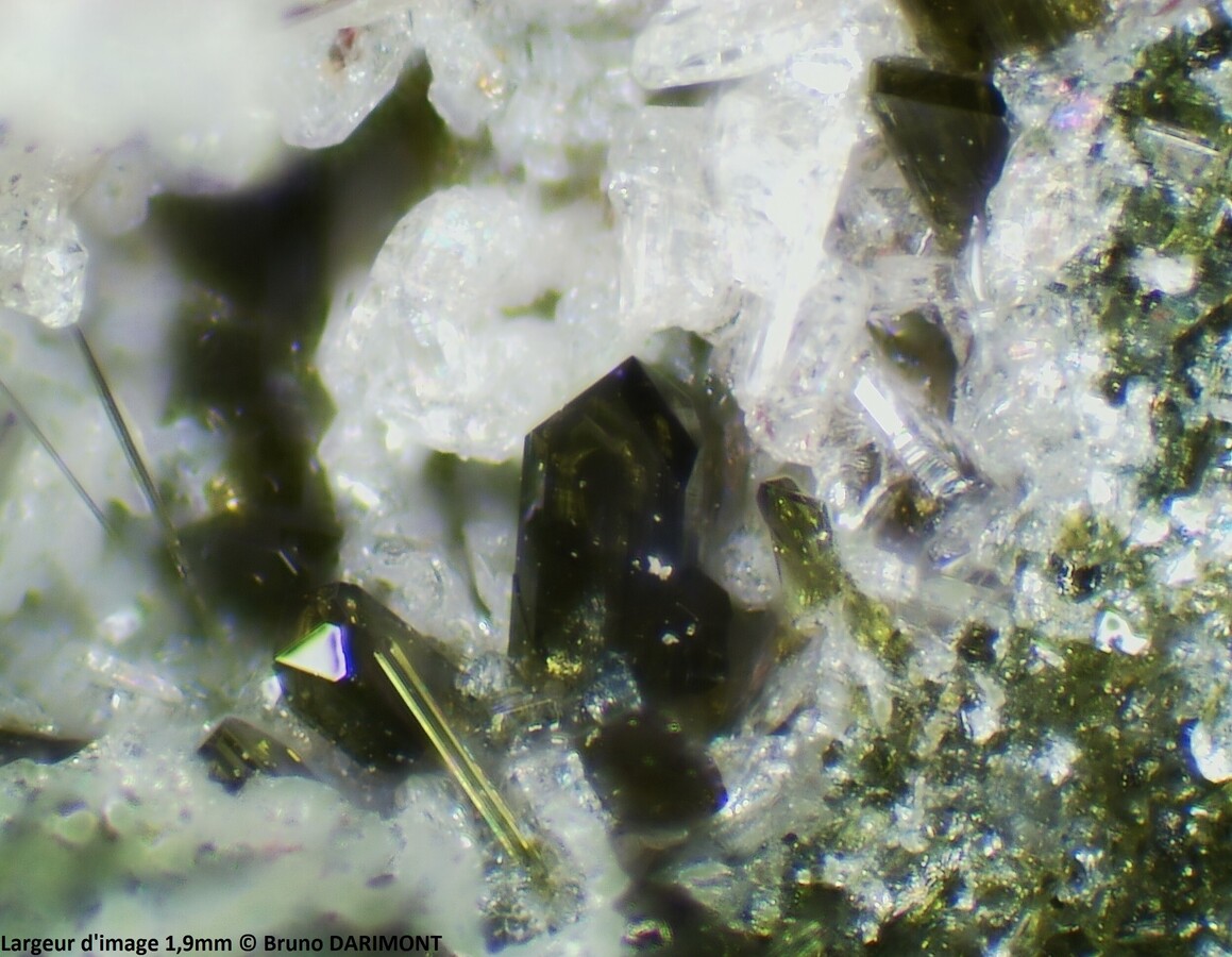 Mineralatlas Lexikon