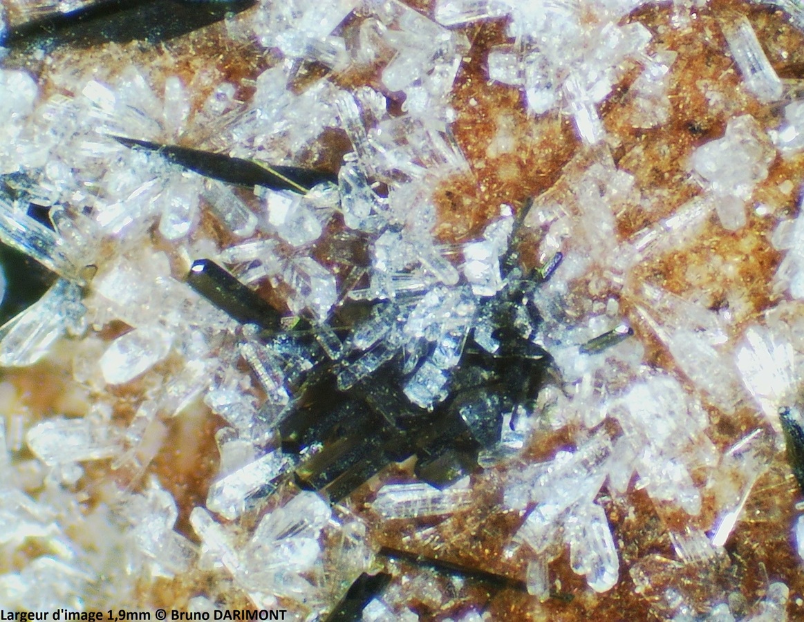 Mineralatlas Lexikon