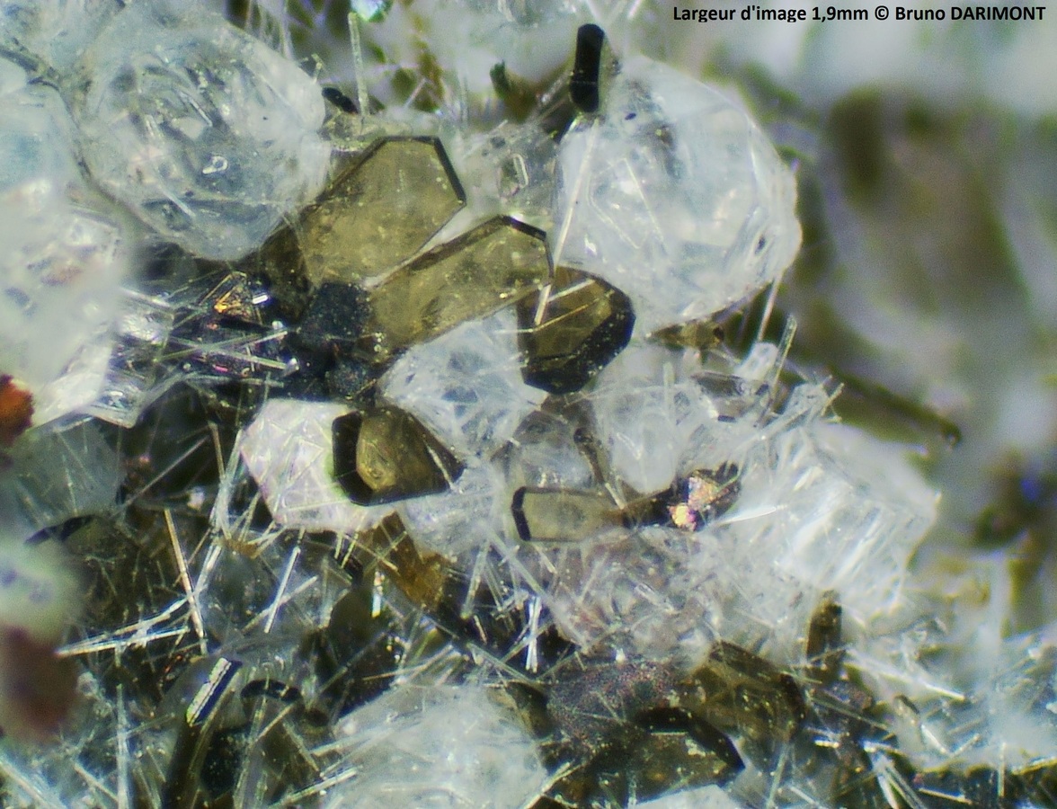 Mineralatlas Lexikon